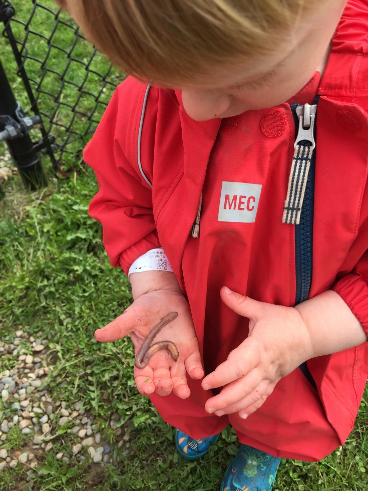 Login - Nova Scotia College of Early Childhood Education