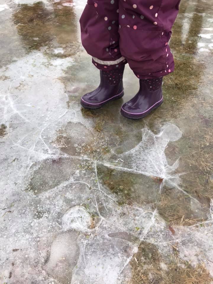 Login - Nova Scotia College of Early Childhood Education