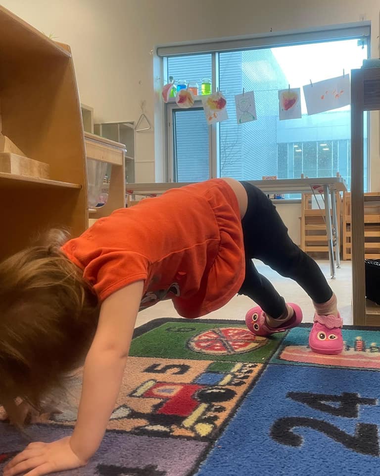 Login - Nova Scotia College of Early Childhood Education